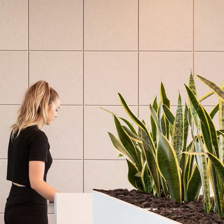 Autex Groove Acoustic Panels - Whiteboards and Pinboards