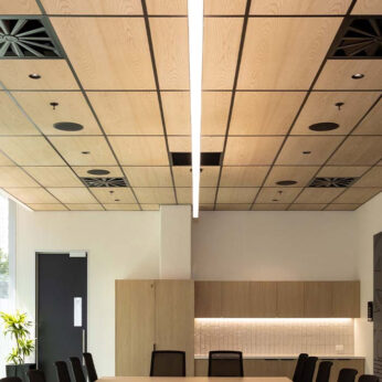 Autex Acoustic Timber Ceiling Tiles - Whiteboards and Pinboards