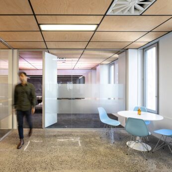 Autex Acoustic Timber Ceiling Tiles - Whiteboards and Pinboards